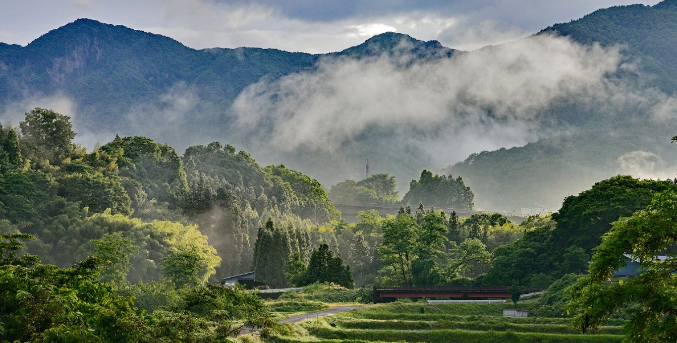【公式】永井酒造オンラインストア – nagaisake-shop