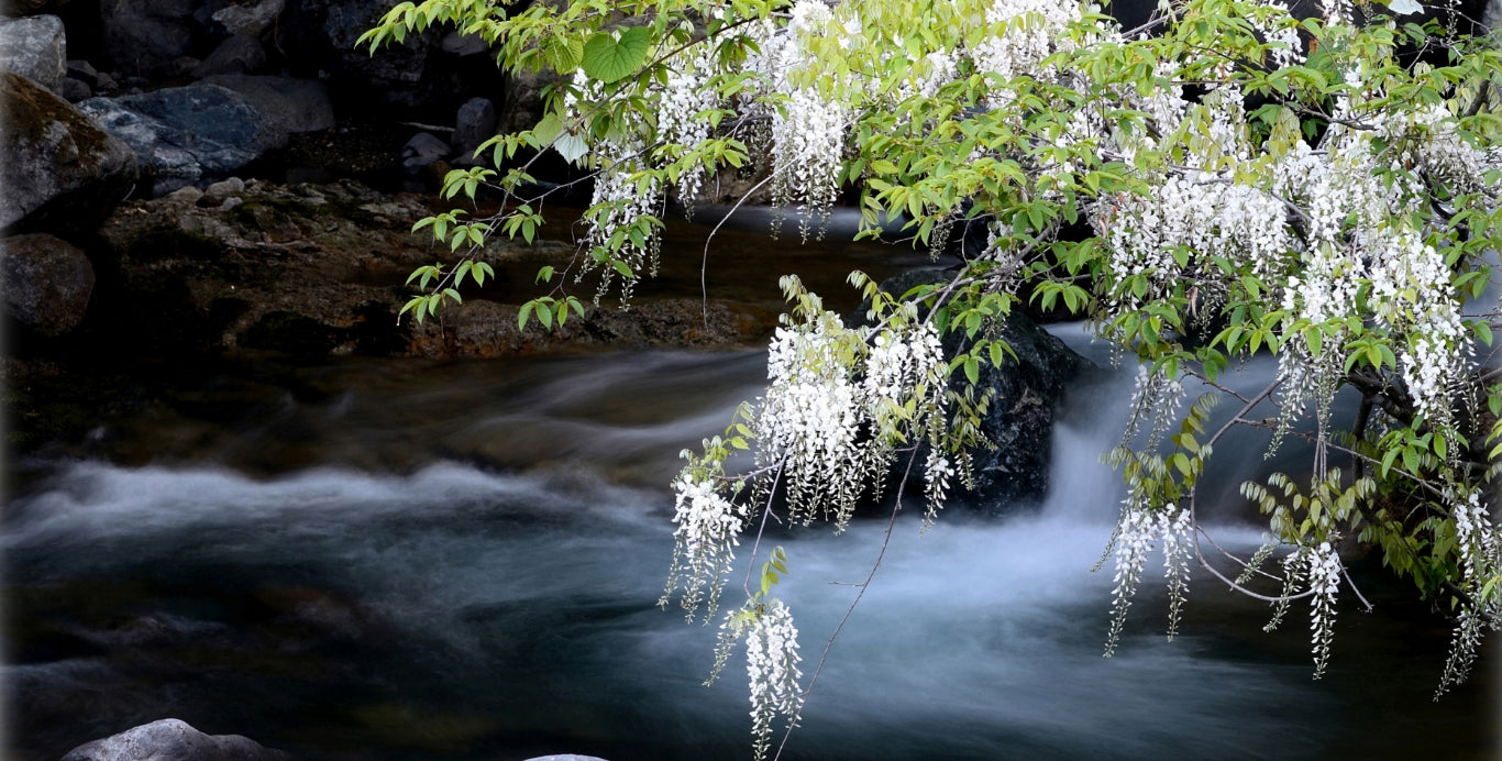 【公式】永井酒造オンラインストア – nagaisake-shop