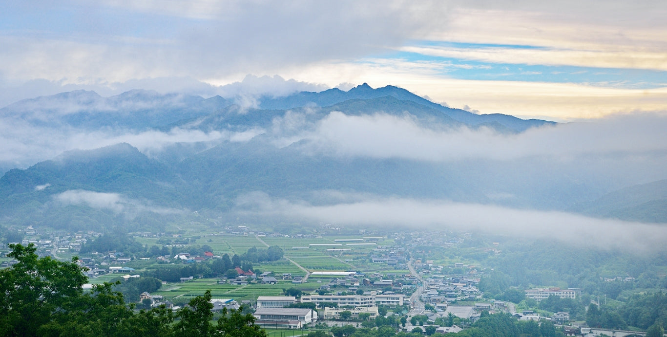 【公式】永井酒造オンラインストア – nagaisake-shop