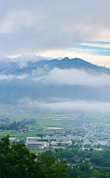 【公式】永井酒造オンラインストア – nagaisake-shop